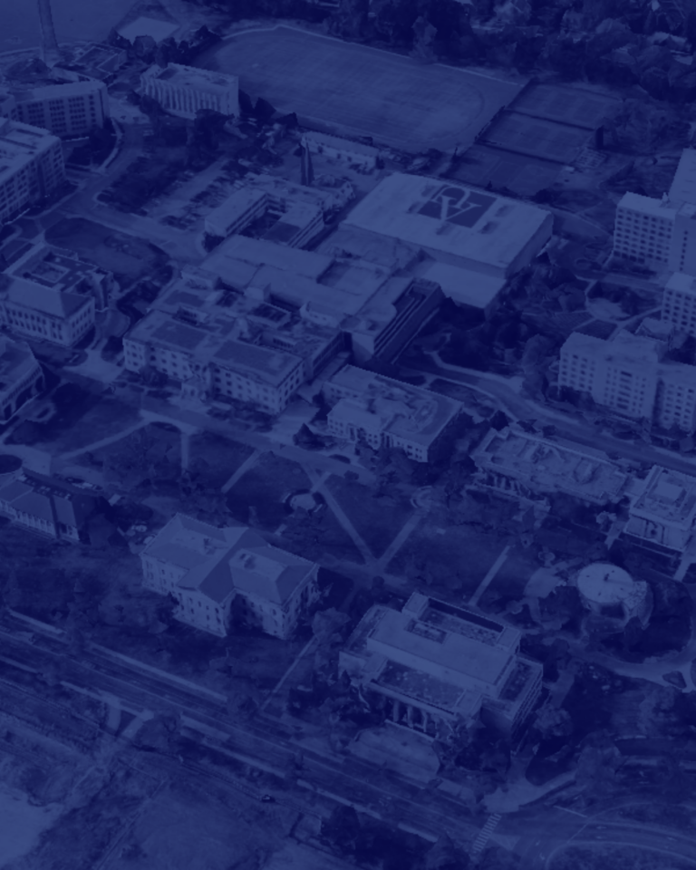 We're the Task Force — Fighting for True Democracy